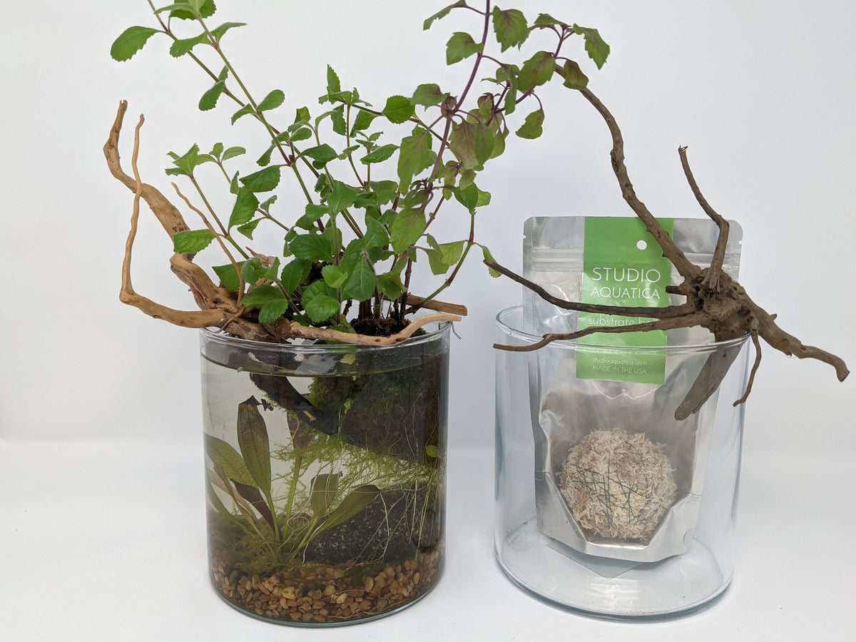 Aquascape 101: How To Put Together A Wabi-Kusa Aquascape - Hakkai SD