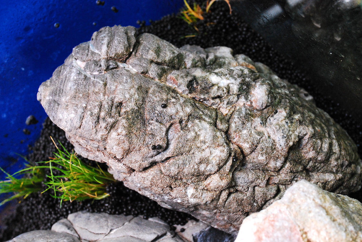 Premium Aquascape Stones Collection - Hakkai
